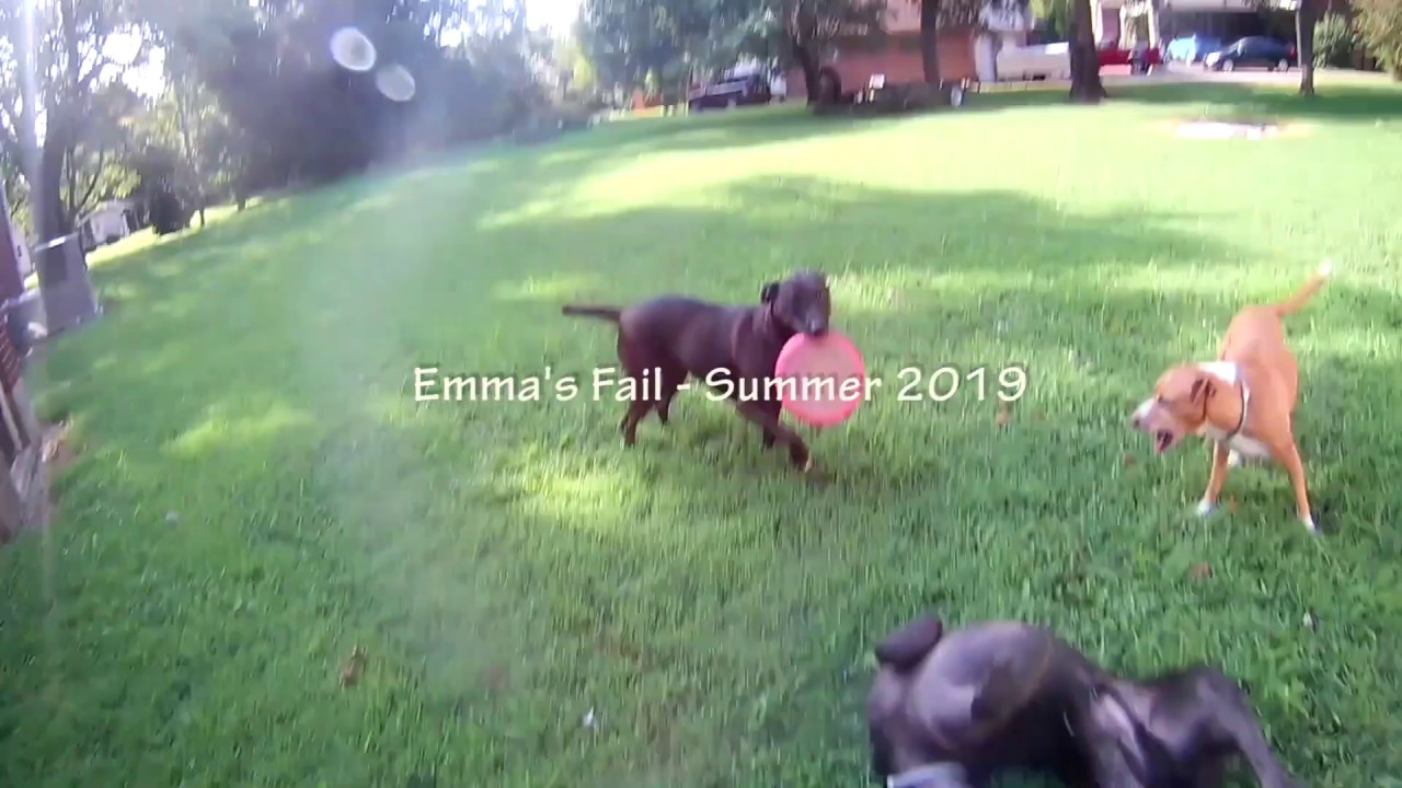 Emma's Epic Fail - Summer 2019 - YouTube