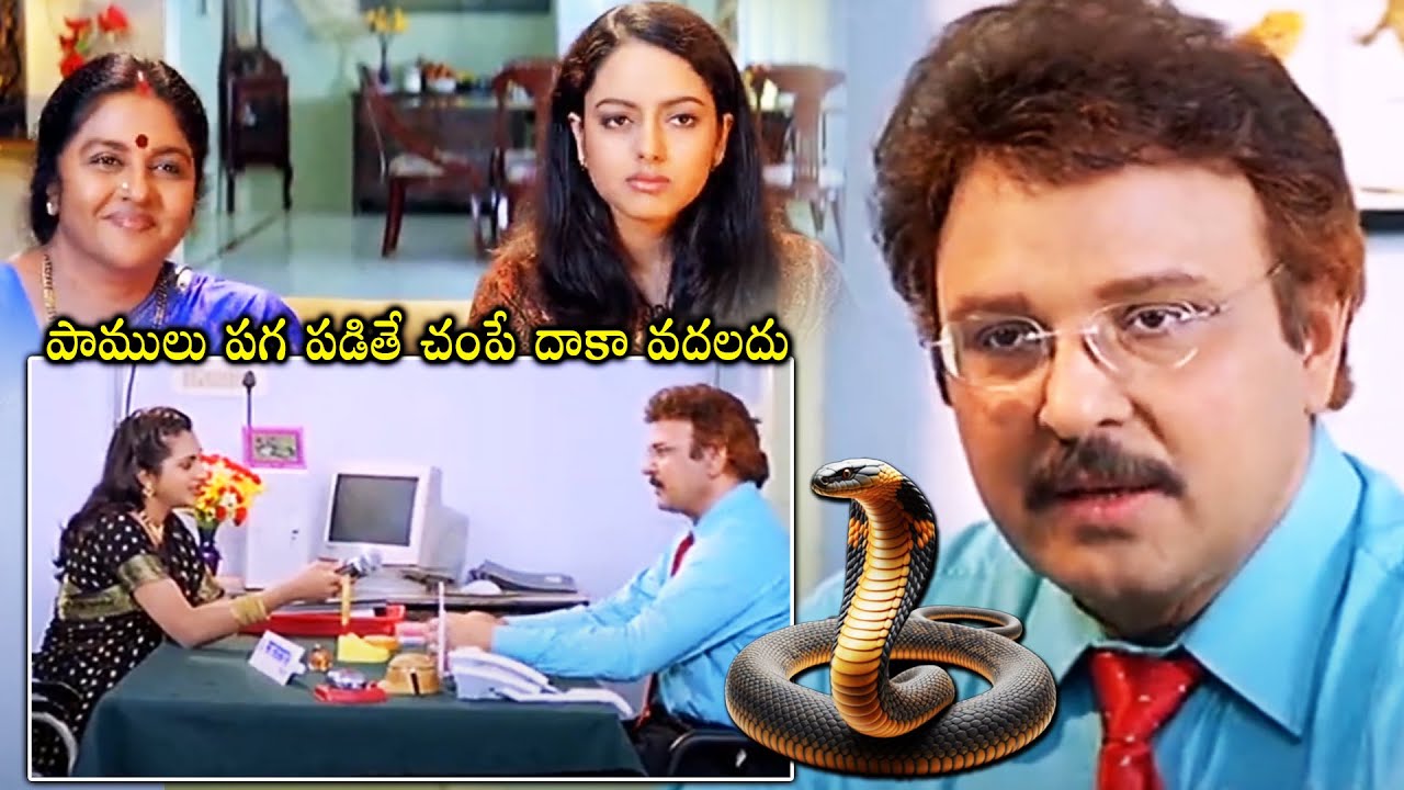 Sarath Babu And Soundarya Interesting Snake Talking Scene || Swetha ...