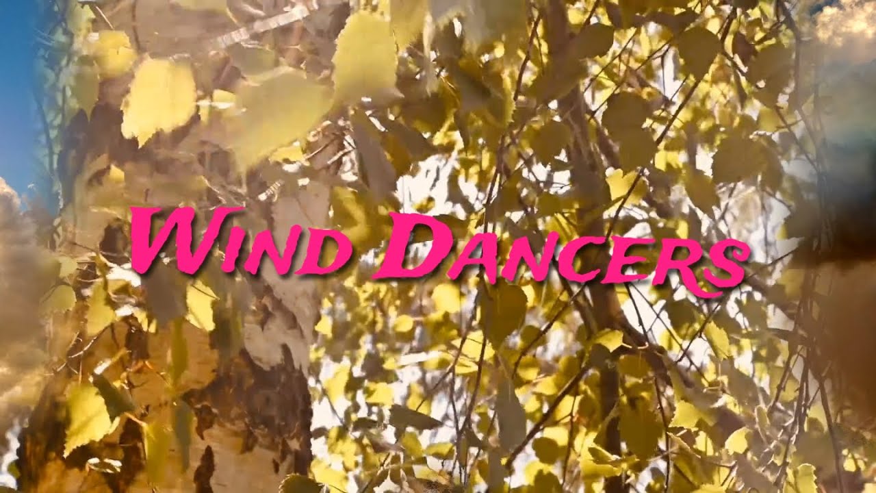 Wind Dancers - YouTube