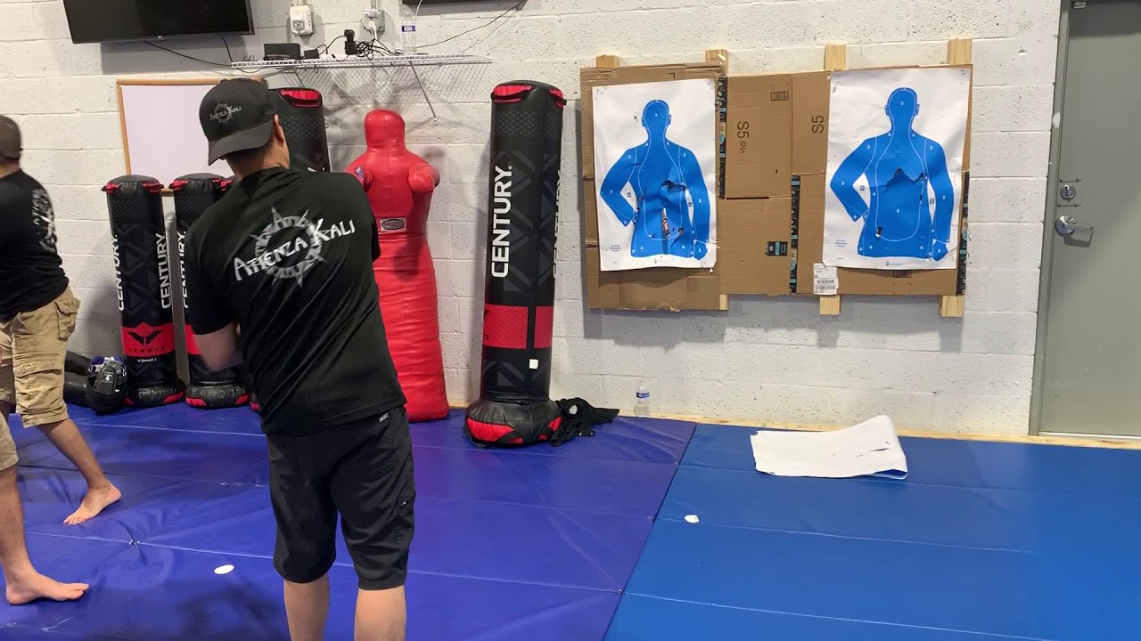 Carl Atienza testing Sifu Courtney Whites new projectile targets - YouTube