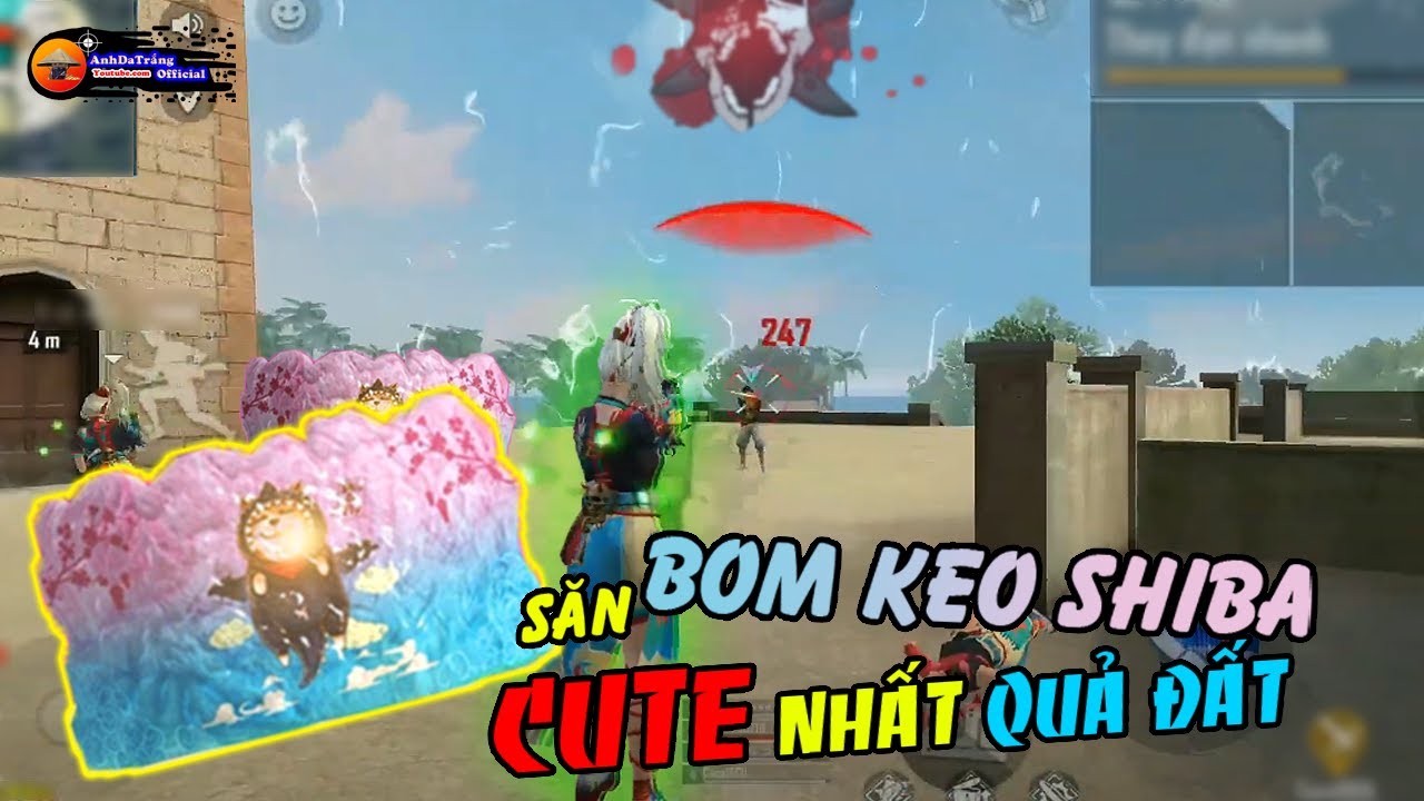 Garena Free Fire | Quay Bom Keo Shiba "Màu Hường" CUTE Và Cái Kết ...