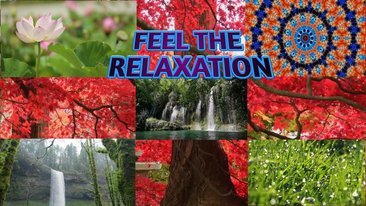 relaxation music feeling for relax increase mind power as happyness # ...