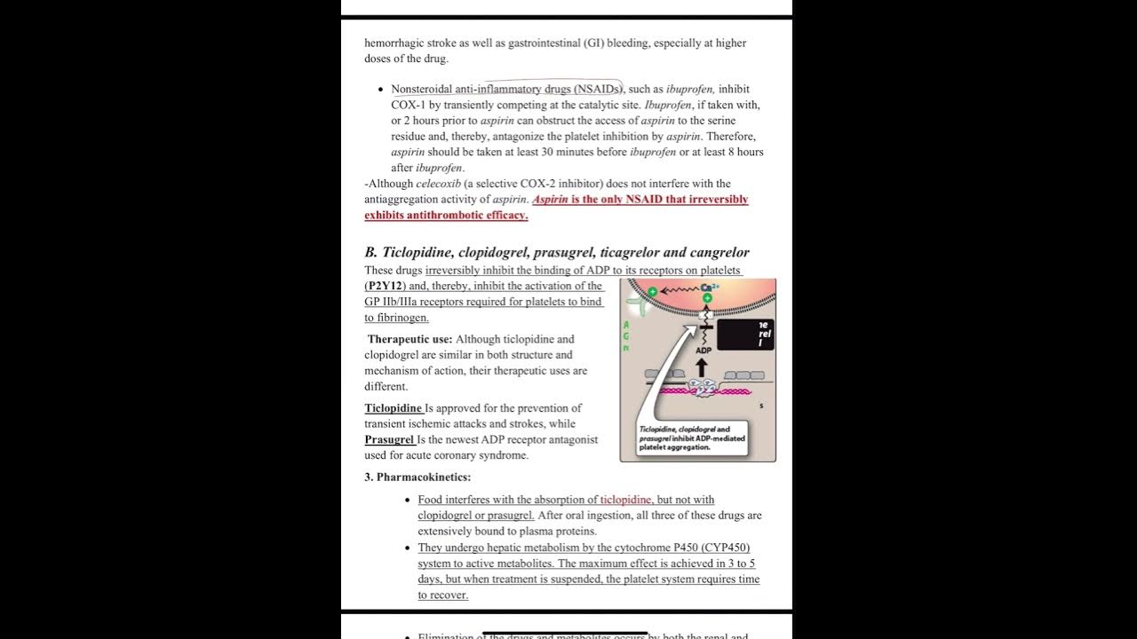 Pharma lec4 part 2 - YouTube