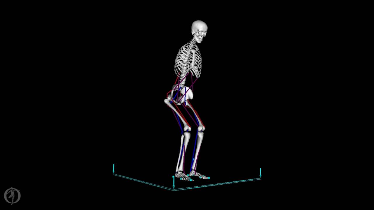 Sit to Stand Transfer: Forward Dynamics (with back muscles) - YouTube