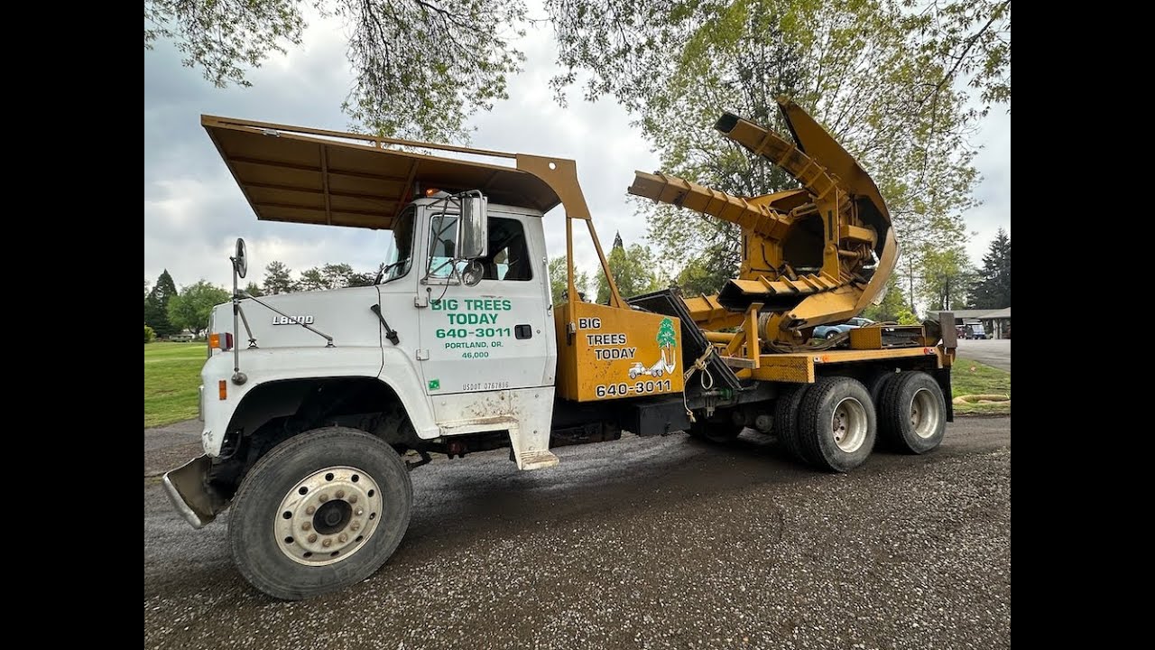 Tree Spade in Action—Transplanting a Large Tree - YouTube