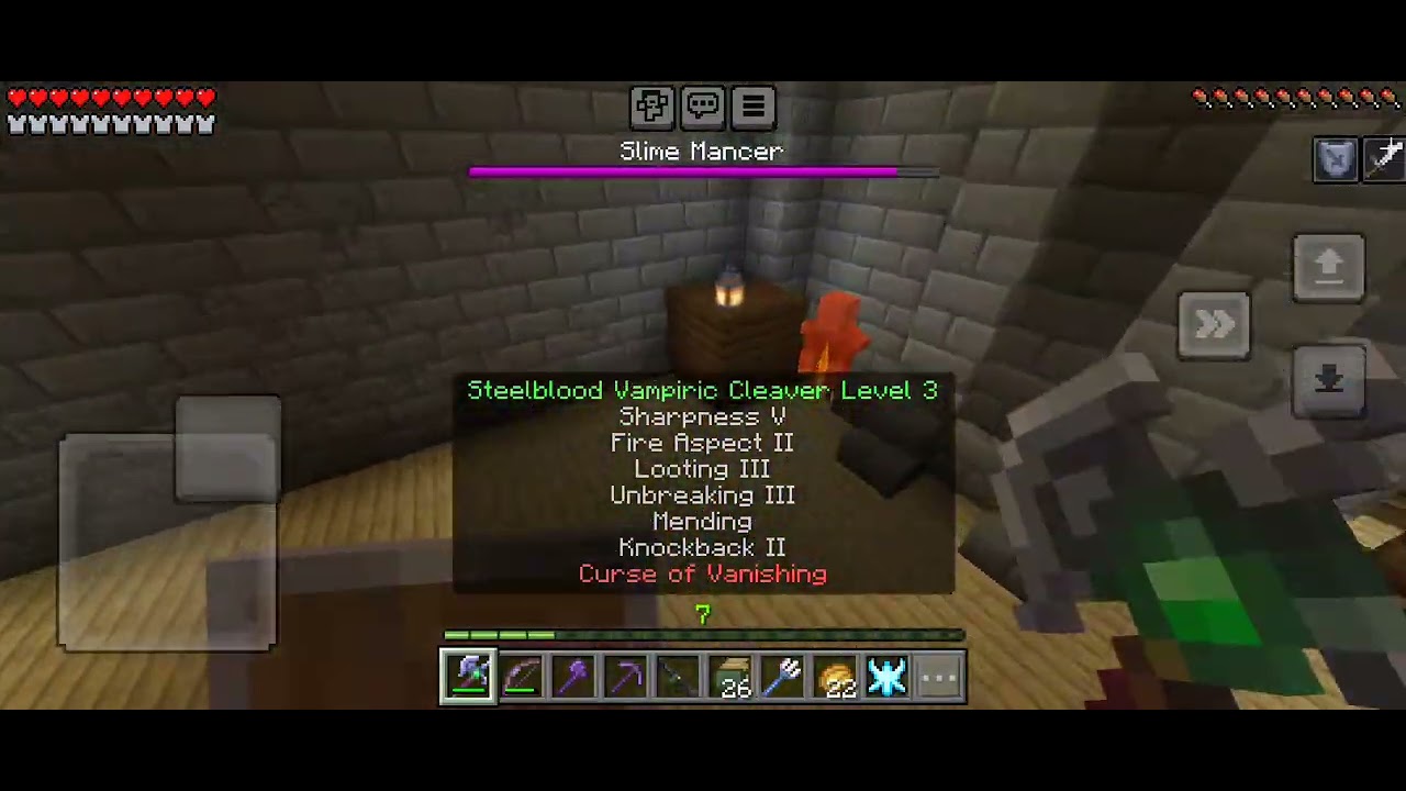 Difficult of the pillager king Minecraft mod good boss - YouTube