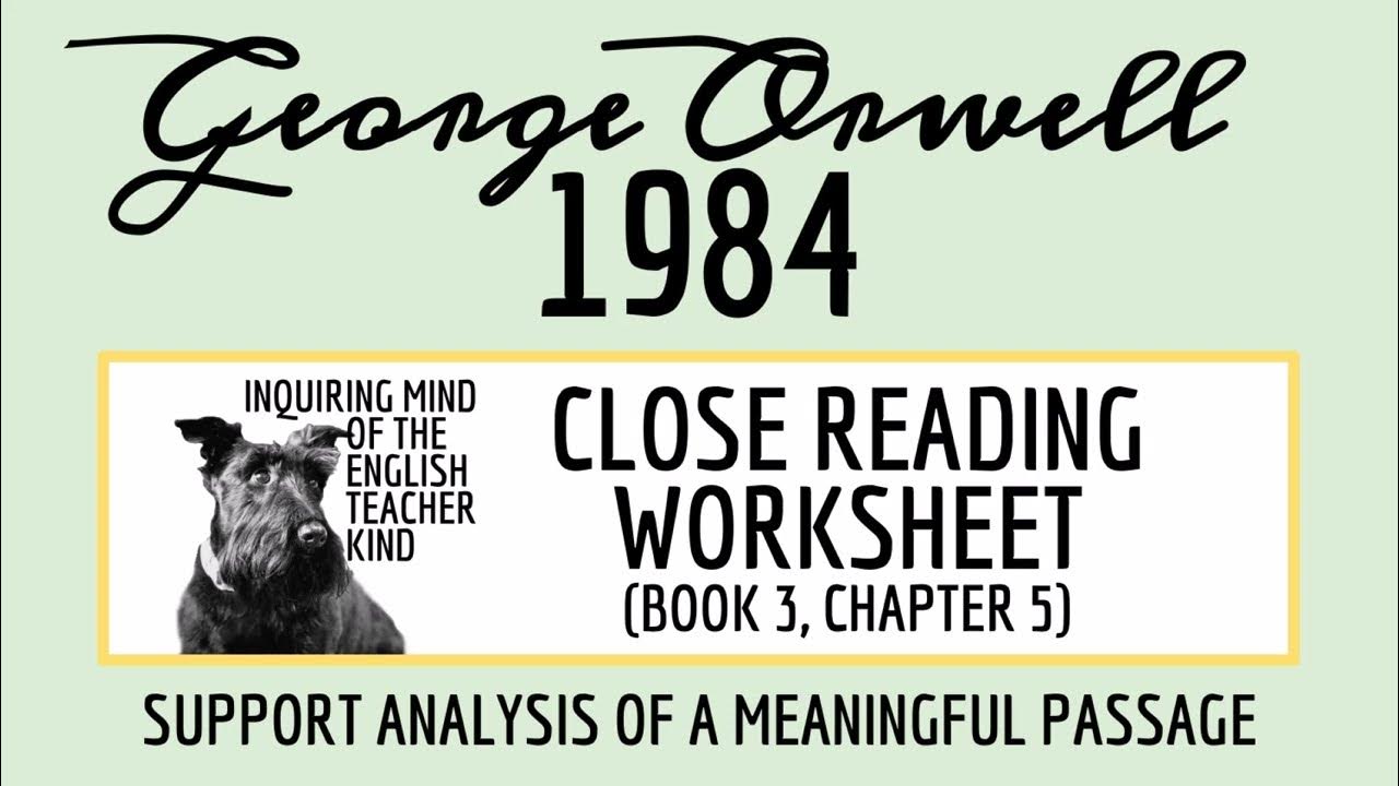 1984 Book 3 Chapter 5 Close Reading Analysis Worksheet for High School ...