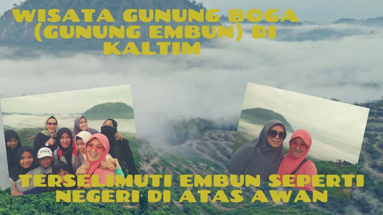 Wisata Gunung Boga (Gunung Embun) di Kaltim, Terselimuti Embun Seperti ...