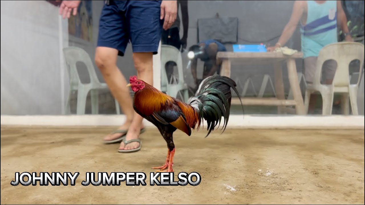 JOHNNY JUMPER KELSO | ORONCE BROTHERS | BAKAS-BAKAS GAMEFARM - YouTube