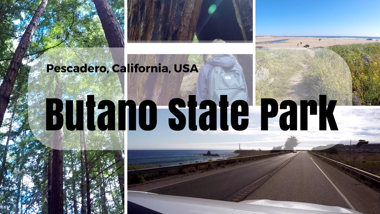 Butano State Park & Beach (Pescadero, California\2016) - YouTube