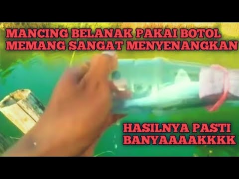 mancing pakai botol memang sangat menyenangkan bisa dapat ikan belanak ...