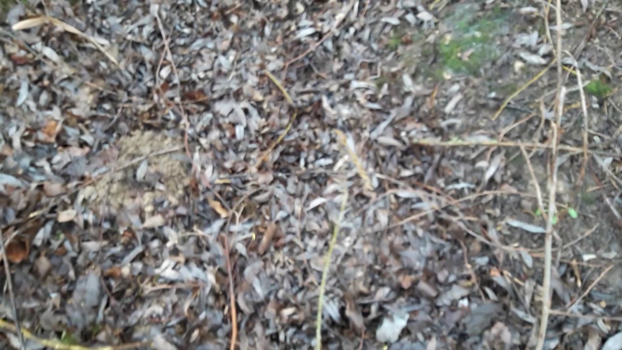 Destroy nature - YouTube