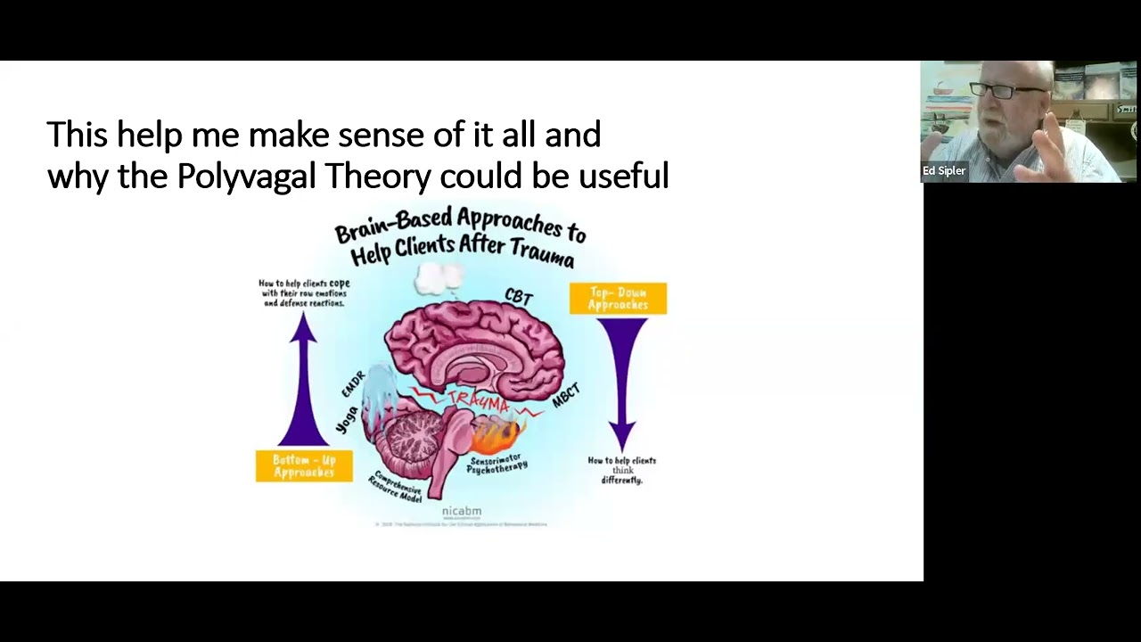 Part 1: understanding our nervous system and introducing the Polyvagal ...