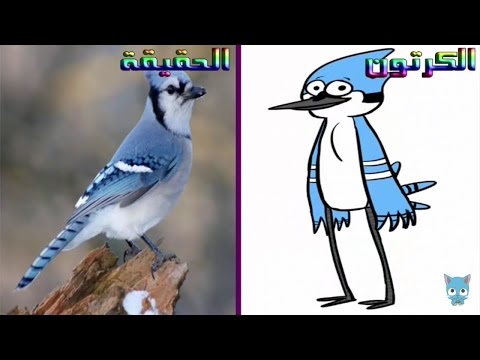 شخصيات العرض العادي في الحقيقة!!!!!!