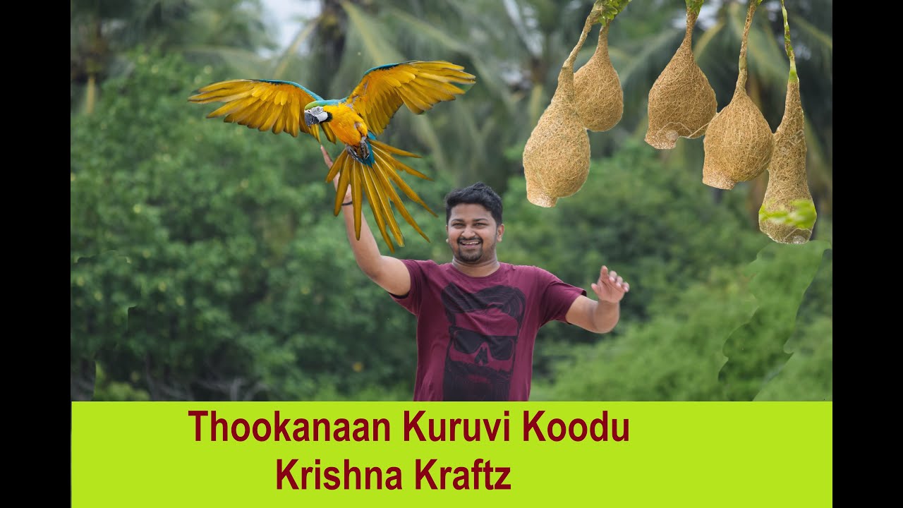 தூக்கணாங்குருவிக் கூடு/Thookkanam Kuruvi Koodu vlog - YouTube
