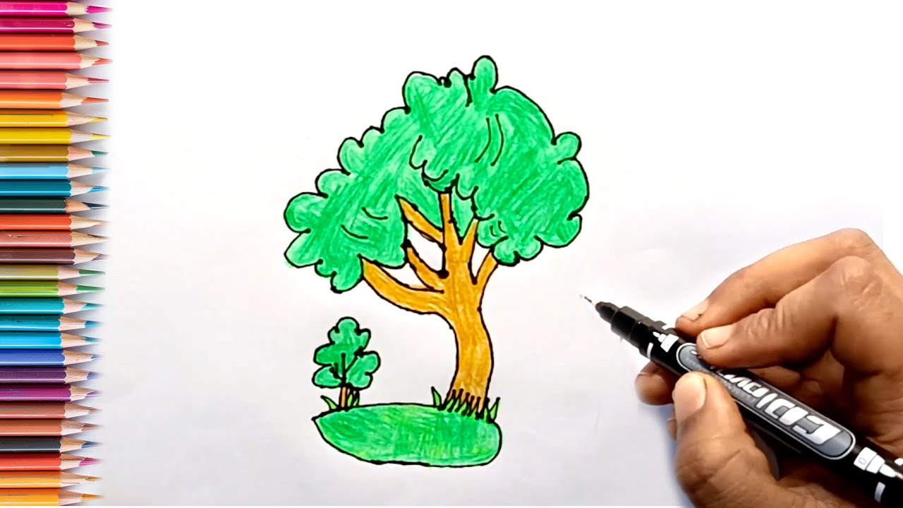 How to Draw a Tree - Easy Step-by-Step for Beginners - YouTube