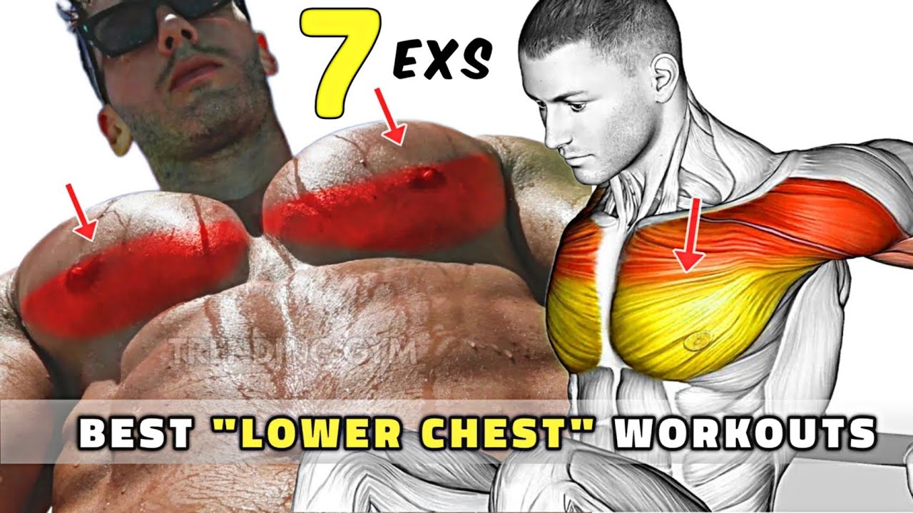 Chest Workout - (7 Best Lower Chest Exercises) - YouTube