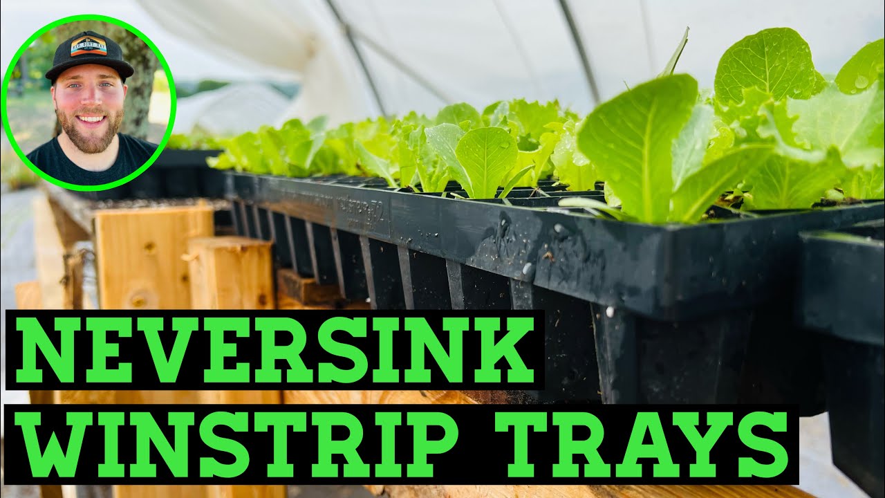 NEVERSINK FARM WINSTRIP TRAYS REVIEW - YouTube