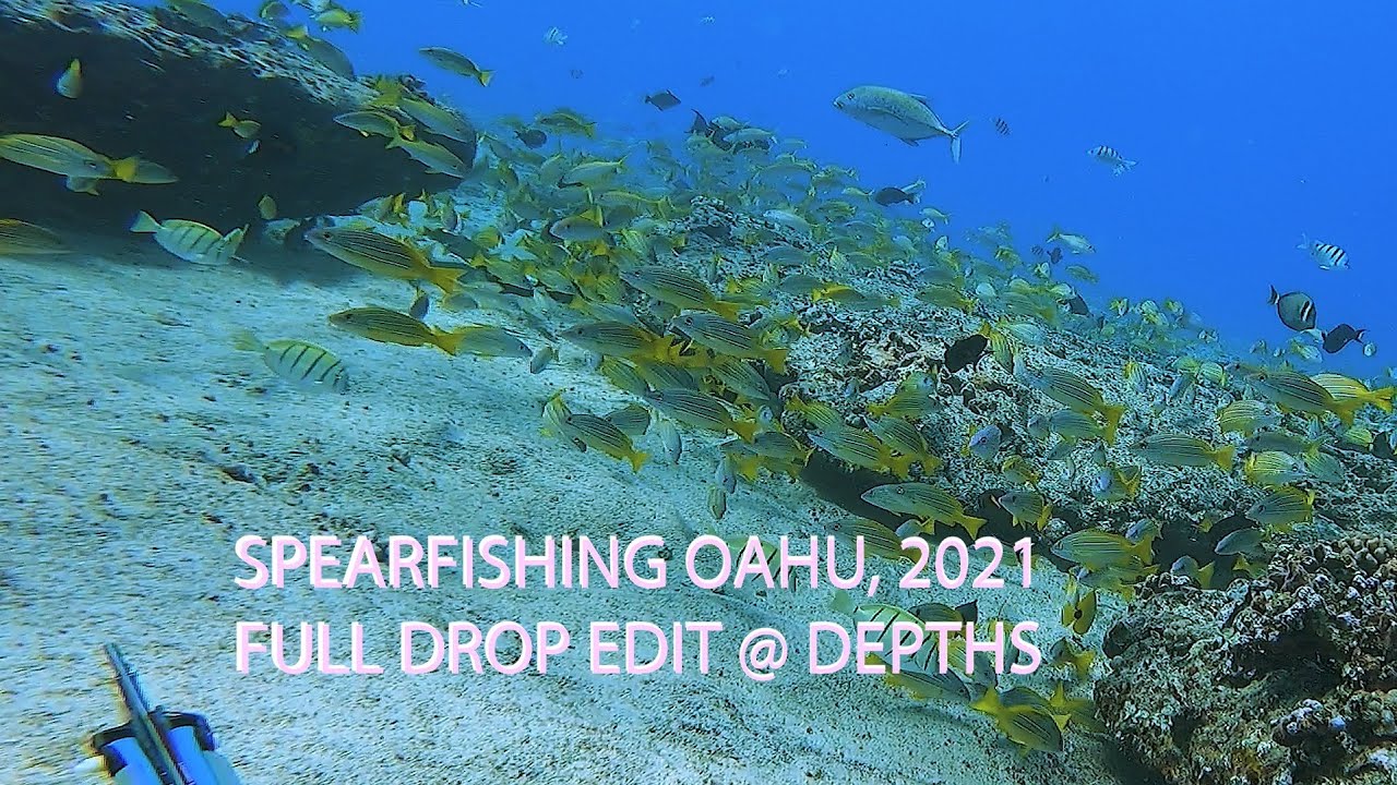 MEMORIAL SPEARFISHING OAHU 2021 Bluewater to da Reef - YouTube
