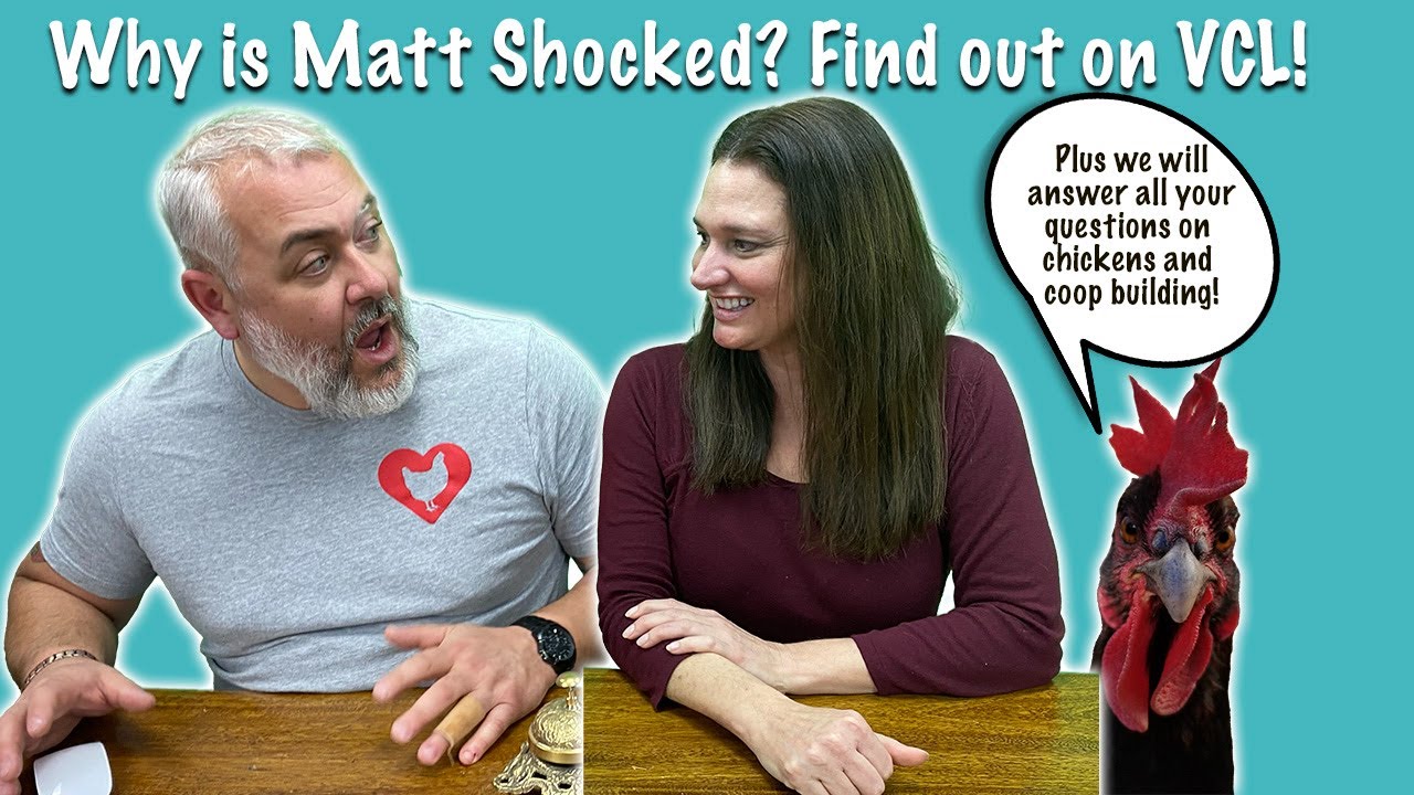 Video Chicken Live: We Answer Your Questions on Chickens and Coops ...