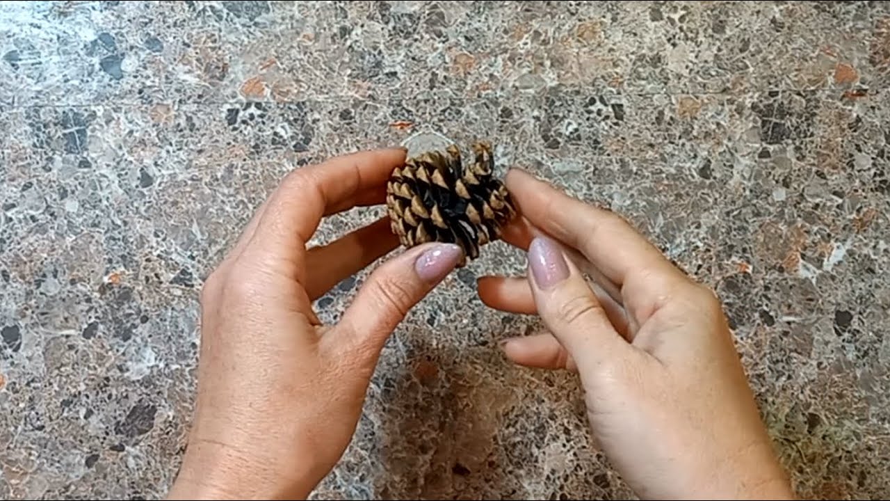 I collect cones and make amazing things out of them for the house. You ...