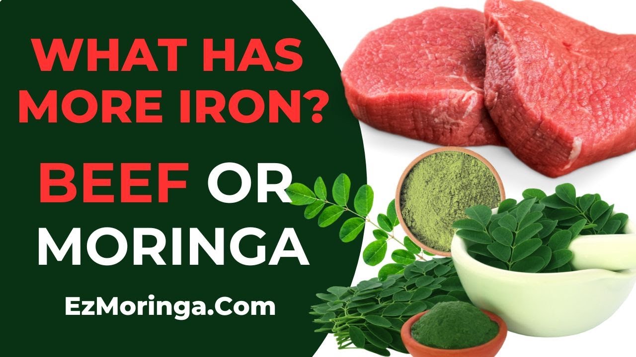 What has More Iron Beef or Moringa #moringabenefits #moringa - YouTube
