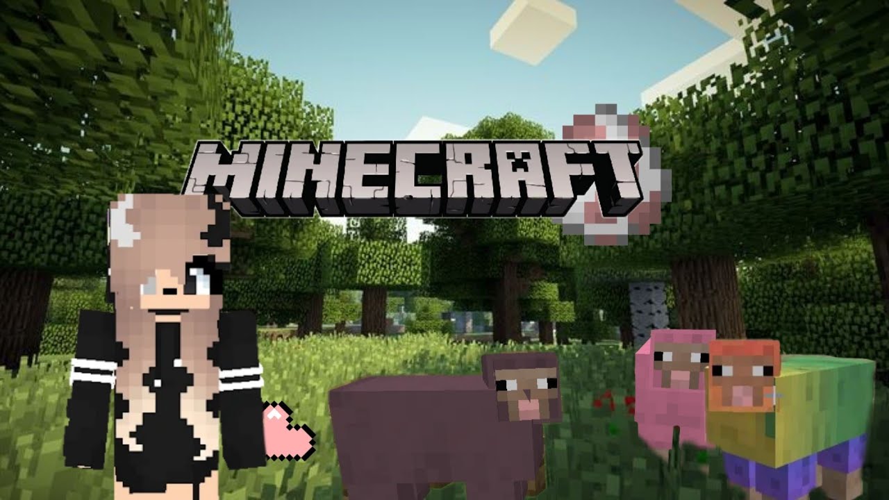 I made my own rainbow sheep farm in Minecraft 🤩🤍/Minecraft/ - YouTube