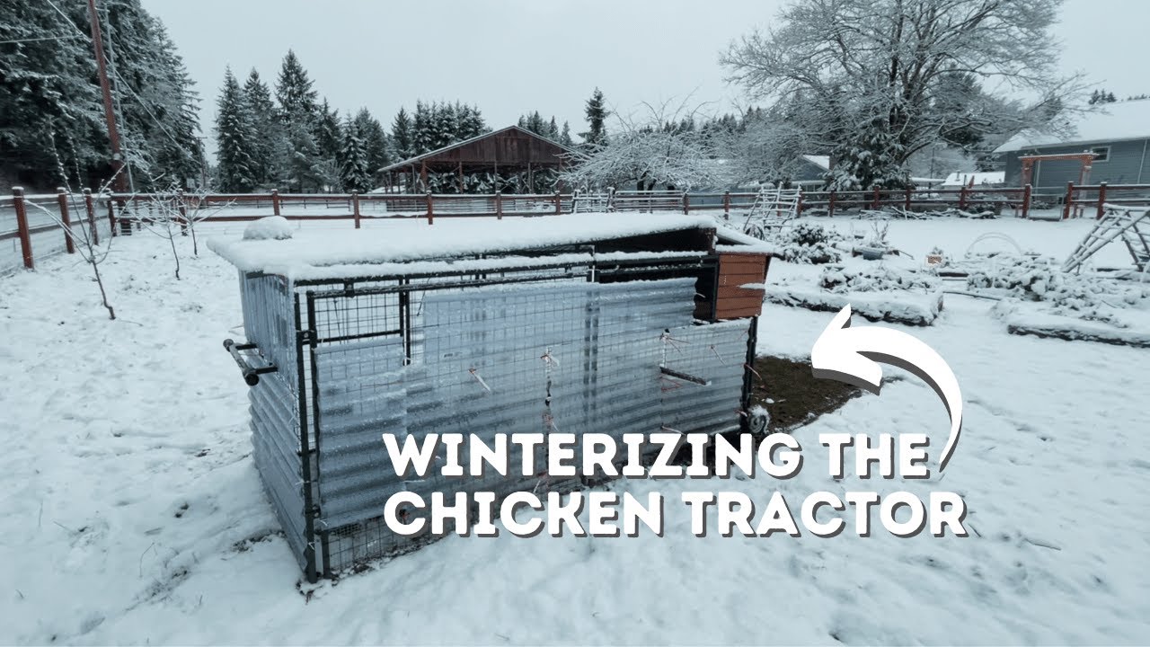 Easy Way to Prep a CHICKEN TRACTOR for WINTER - YouTube