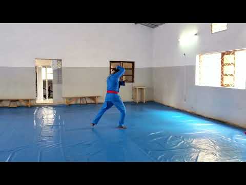 Tinh Hoa Luong Nghi Kiem Phap ( Quyen de l'épée) vovinam viet Vo dao Sénégal