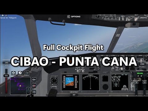 ⭐FULL COCKPIT FLIGHT⭐ Cibao - Punta Cana || Project Flight - YouTube