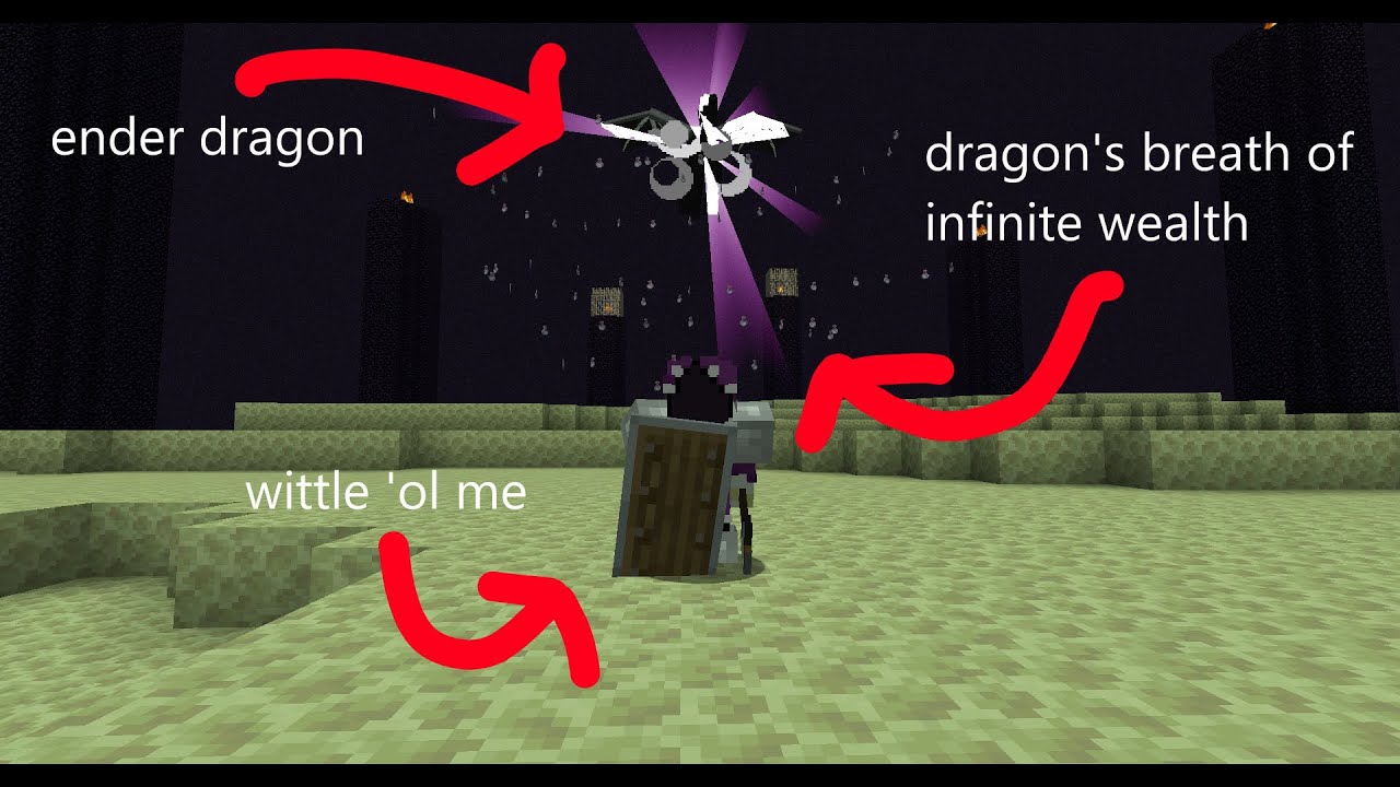 I INFILTRATED A FURRY MINECRAFT SERVER - YouTube