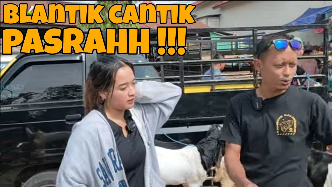 BLANTIK CANTIK UNTUNG PULUHAN JUTA DARI KAMBING - YouTube