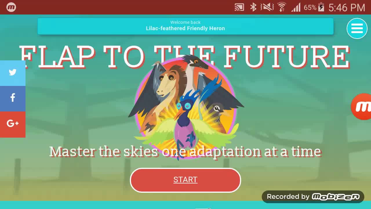 Flap to the Future - American Robin - YouTube