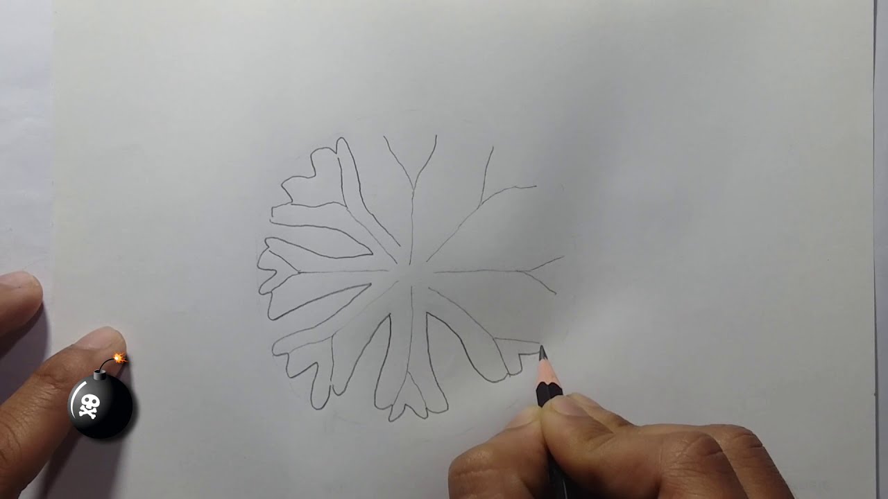 Formation of Riccia thallus,, (Riccia থ্যালাসের গঠন) ;New trick; HSC ...