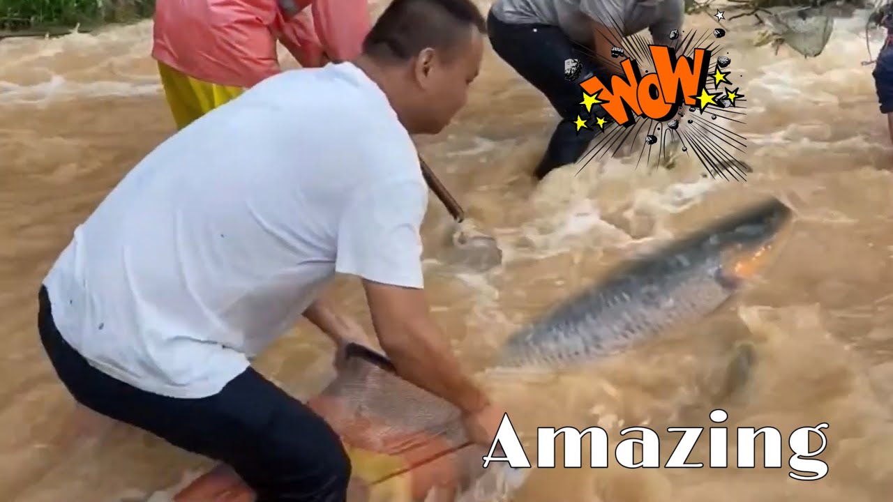 Water flows like this, a lot of fish | MEMO Primitive - YouTube