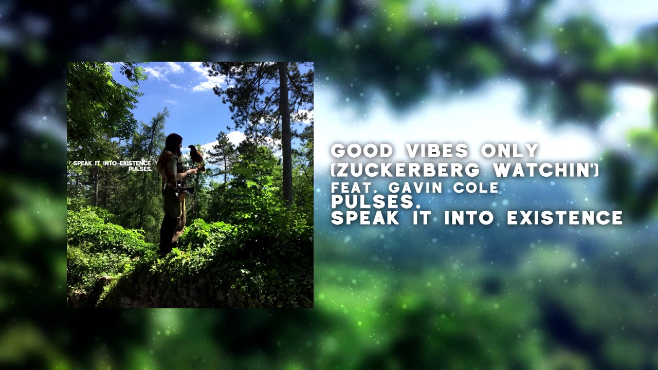 pulses. - Good Vibes Only (Zuckerberg Watchin') [feat. Gavin Cole ...