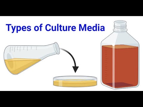 Types of Culture Media -Part(2) | Selective media | Differential media ...
