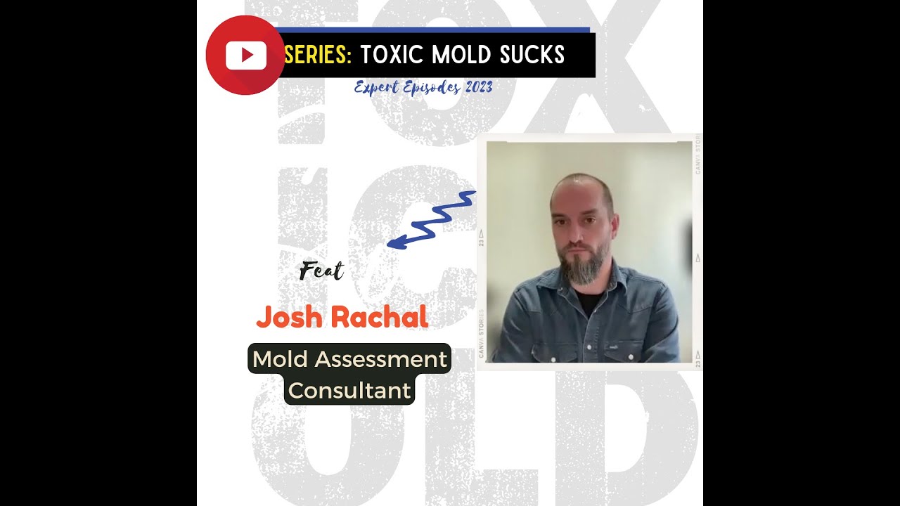 Expert Interview: Josh Rachal - YouTube