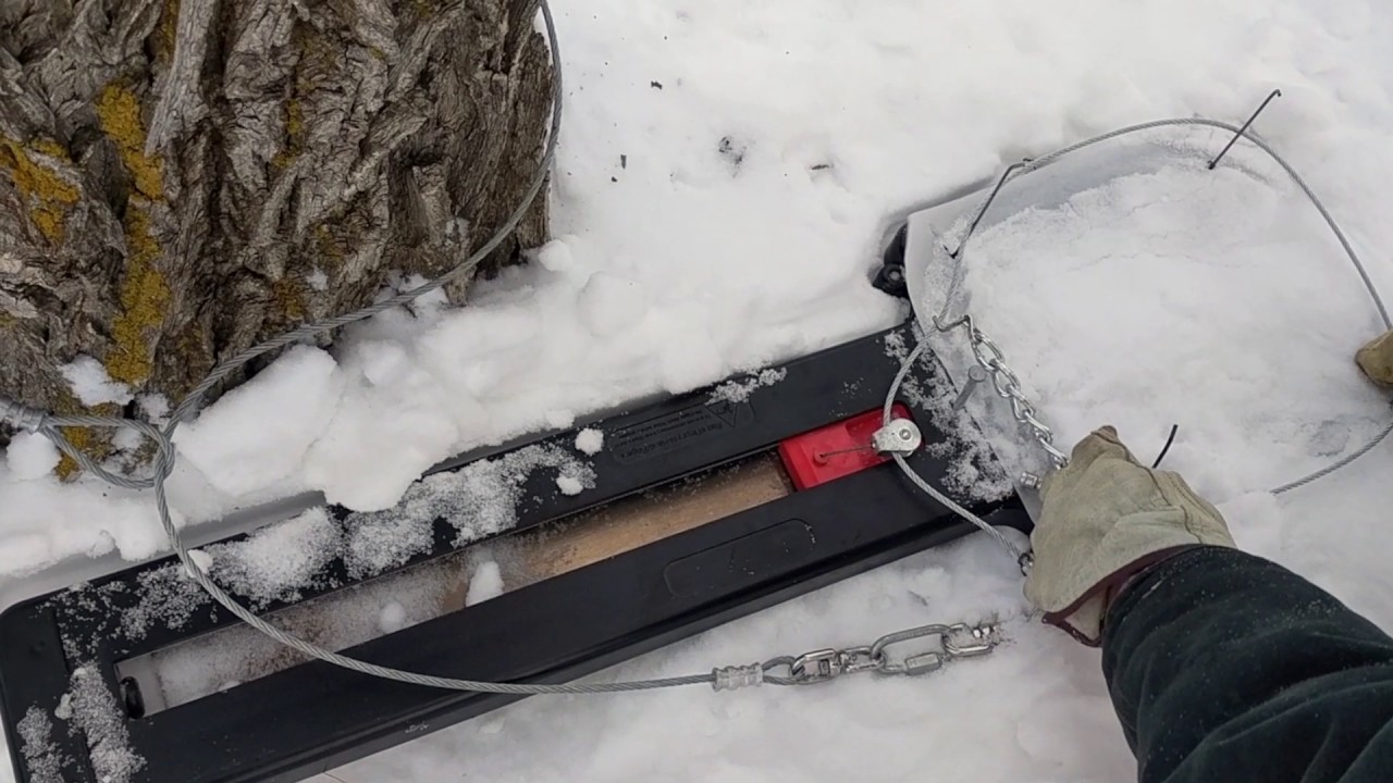 Select-A-Catch®1000 Snow setting instructions - YouTube