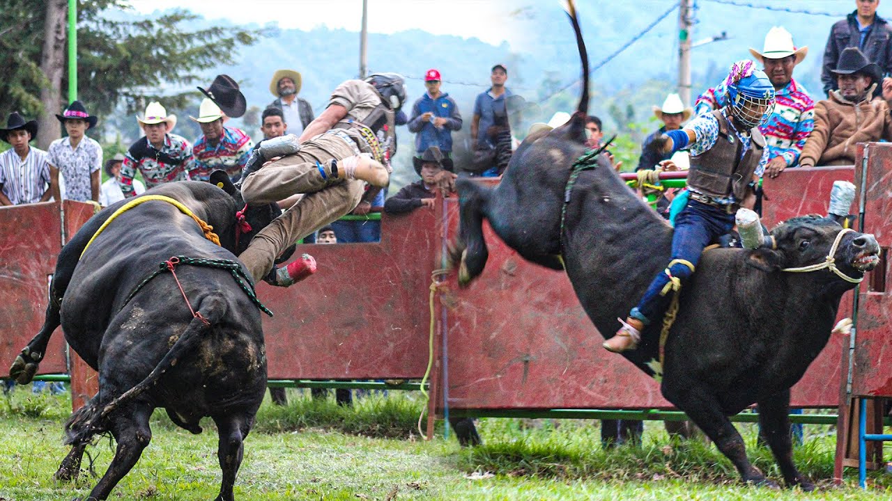 JARIPEO EN EL PEDREGAL CON UNA SELECCION DE GANADERIAS DE LA REGION ...