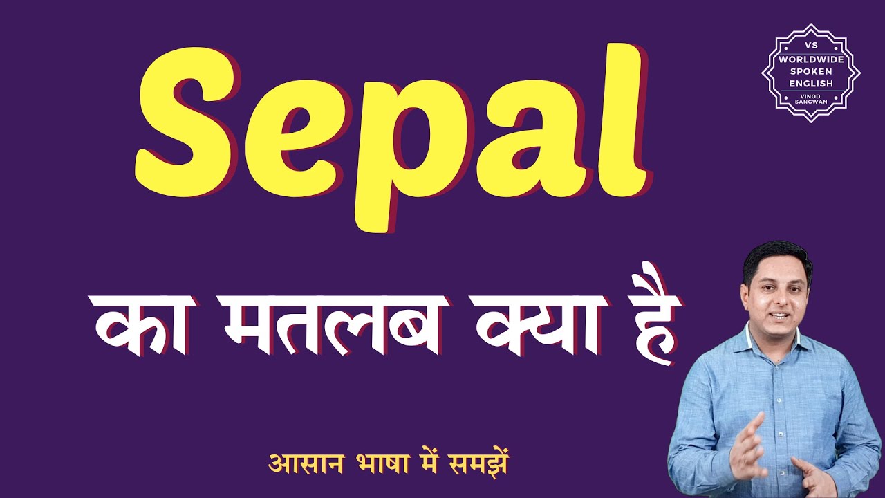 Sepal meaning in Hindi | Sepal ka matlab kya hota hai | English to ...