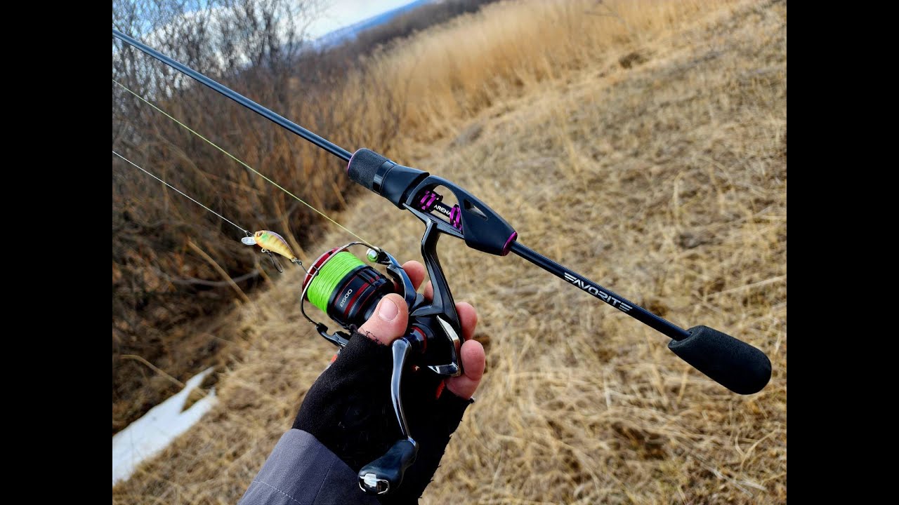 favorite arena purple მდინარის კალმახი - YouTube