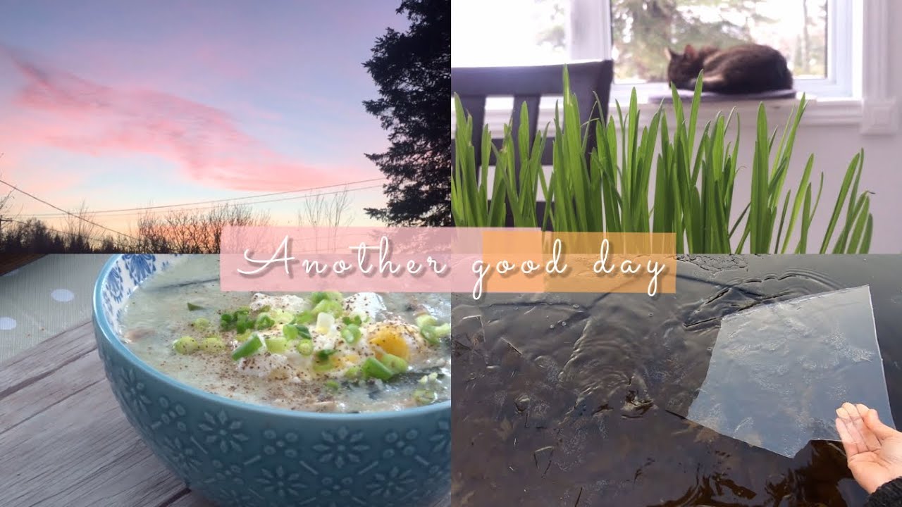 Another good day ♡︎ อีกหนึ่งวันดีๆ | โจ๊กข้าวโอ๊ต | น้ำเป็นน้ำแข็งแล้ว ...