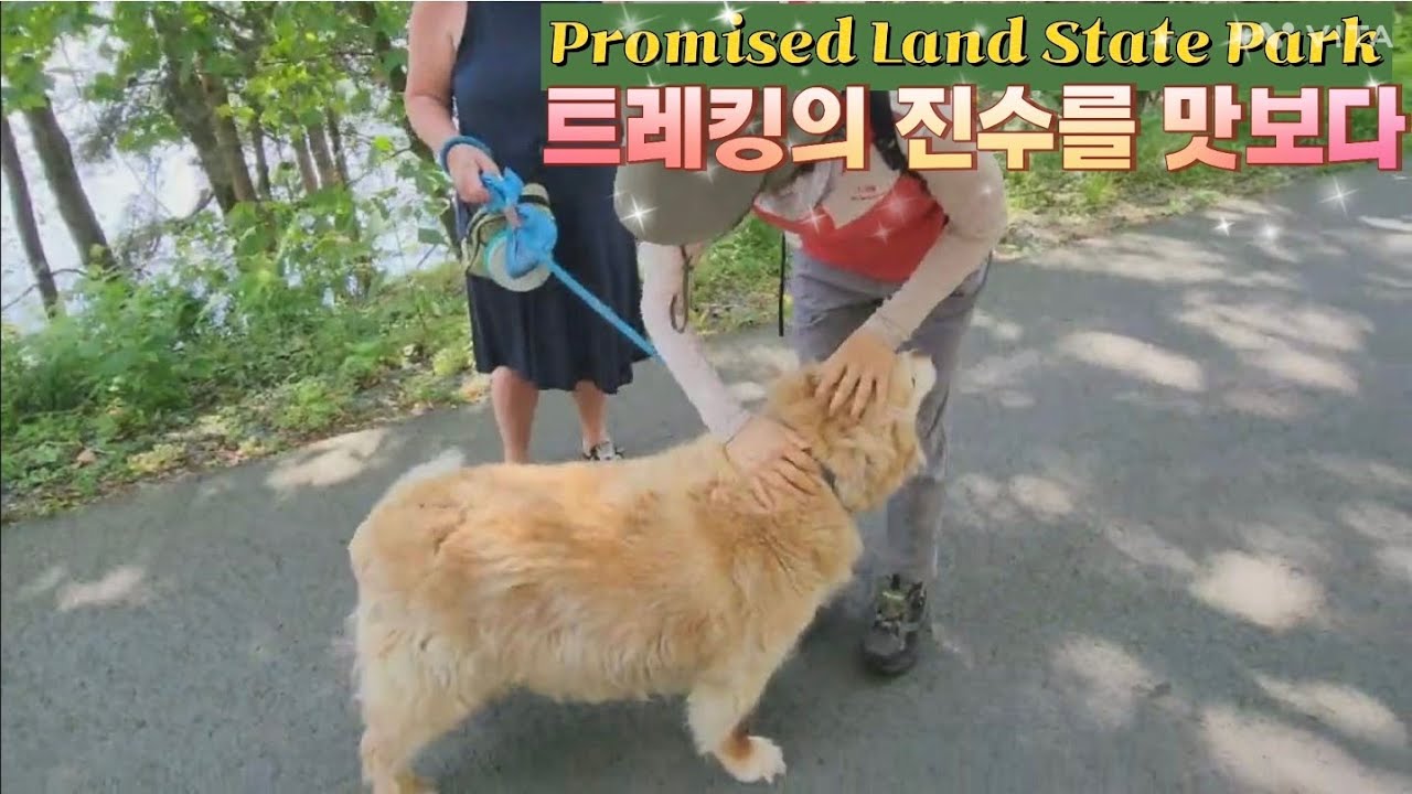 트레킹의 진수를 맛보다/한국인들이 많이 찾는 캠핑&트레킹 명소/Promised Land State Park/Village trail~Pickerel Point - YouTube