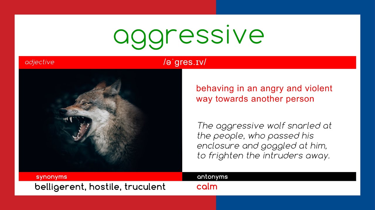 A G G R E S S I V E 1 WORD OF THE DAY English Meaning Spelling Synonyms And a-g-g-r-e-s-s-i-v-e-1-word-of-the-day-english-meaning-spelling-synonyms-and