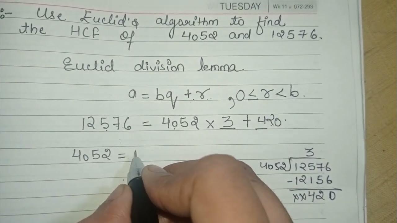 use euclid's algorithm to find hcf of 4052 and 12576...| class10 chap 1 ...