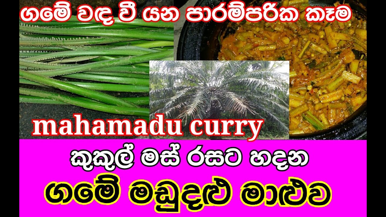 maha madu curry /මඩු දළු වලින් හදන පාරම්පරික ගමේ කෑම/cycad curry by ...
