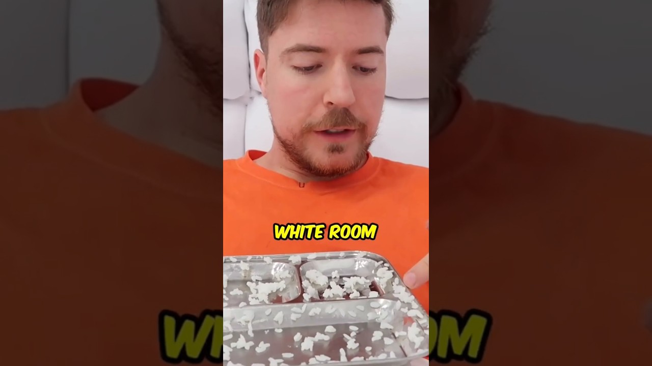 Mr beast lock herself in white room for 7 days 😱😱 what happen watch now ...