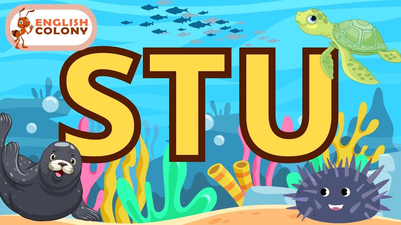 Learning Letters "STU" and Basic English Vocabulary - YouTube