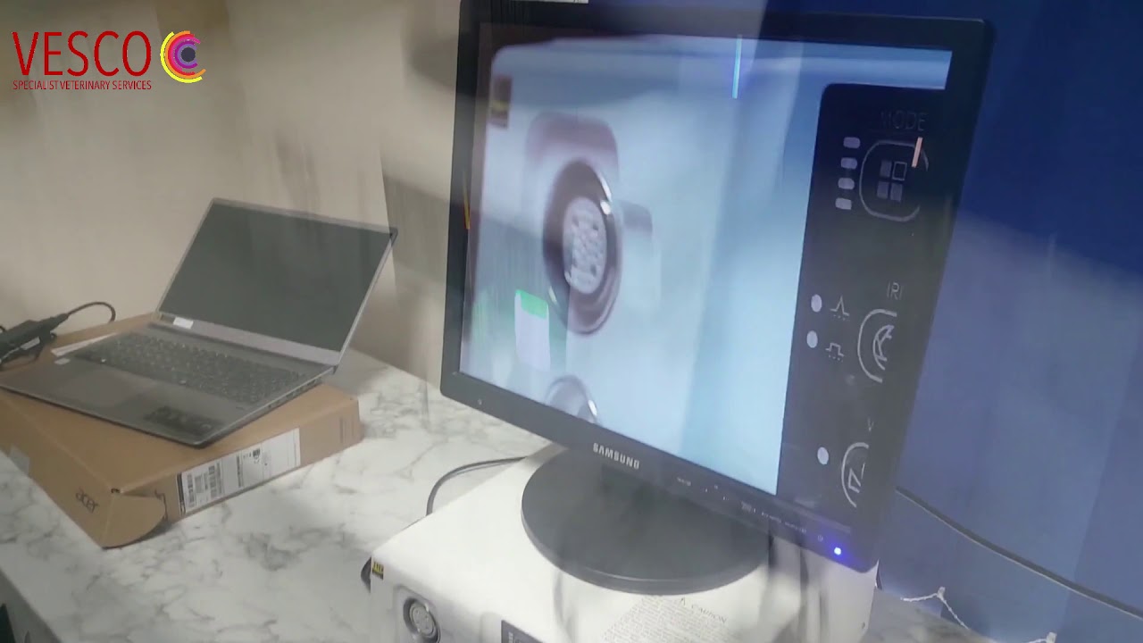 Processor & Monitor set up with videoscope and rigid camera attachment ...